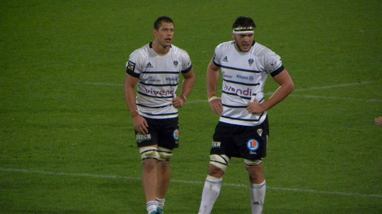 Transfert : Jan Uys rejoint les Blue Bulls - AllezBriveRugby